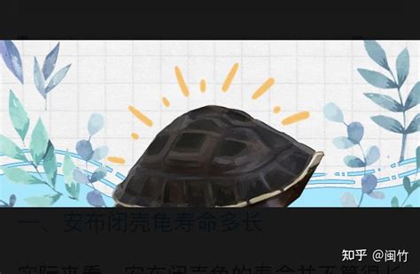 养了一只然后不想养了想找个好人家嫁出去 知乎