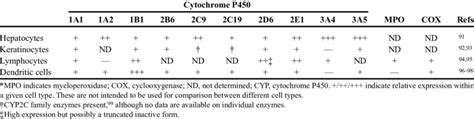 Relative Expression Of Several Xenobiotic Metabolizing Enzymes In