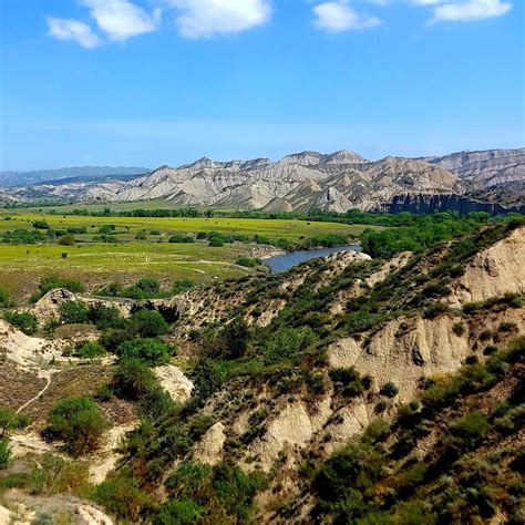 ვაშლოვანი პანტიშარა სამუხის ველი მიჯნისყურე ტახისწყალი 12 13 აპრილი