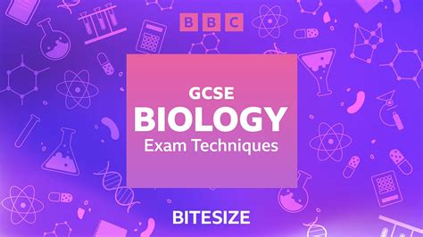 gcse science podcasts biology exam techniques bbc bitesize