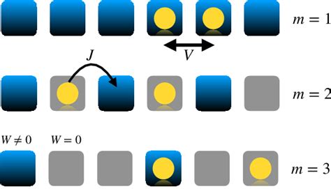 Figure 1 From Delocalization In A Partially Disordered Interacting Many Body System Semantic