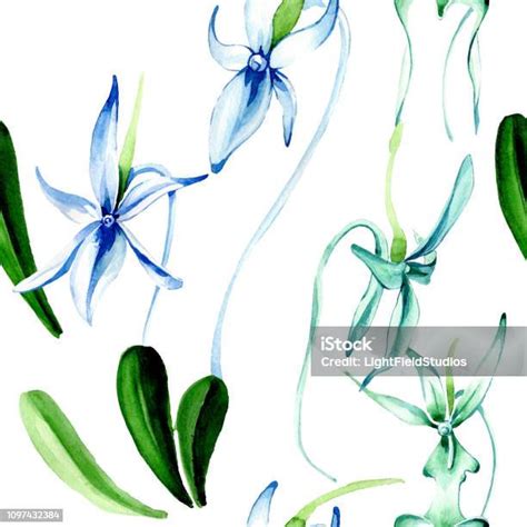 藍色罕見的蘭花花植物學花水彩背景插圖集無縫的背景模式向量圖形及更多式樣圖片 式樣 插圖 方形 Istock