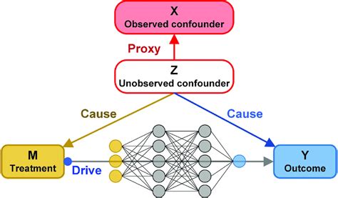 The Causal Structure Of The Mutation In The Cancer Biological Process