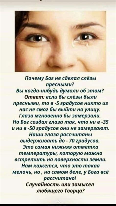 Пин от пользователя ольга на доске Библейские факты в 2024 г Мудрые