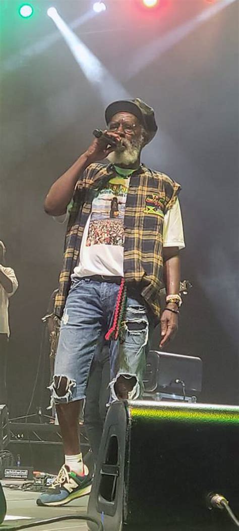 Summerstage Reggae Reimagines Synergys Reggae Sunsplash Caribbean Life