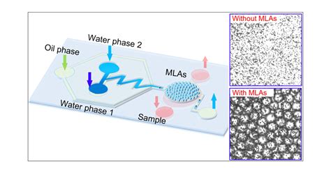 Tunable And Dynamic Optofluidic Microlens Arrays Based On Droplets Analytical Chemistry