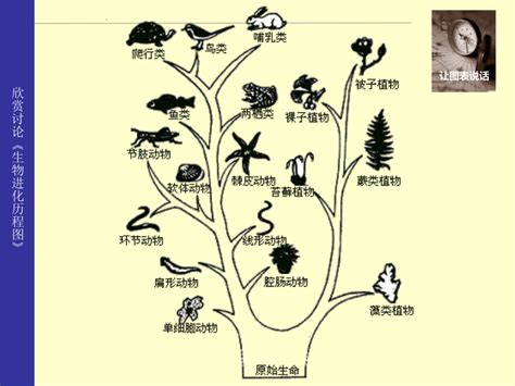 《让图表说话》课件 2 21世纪教育网