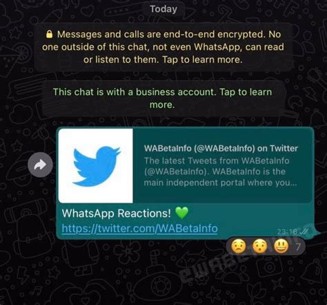 Whatsapp Conoce Los Emojis Que Están Disponibles Para Las Reacciones