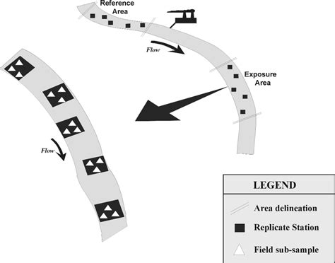 Schematic Diagram With Examples Of Area Replicate Station And Field Download Scientific