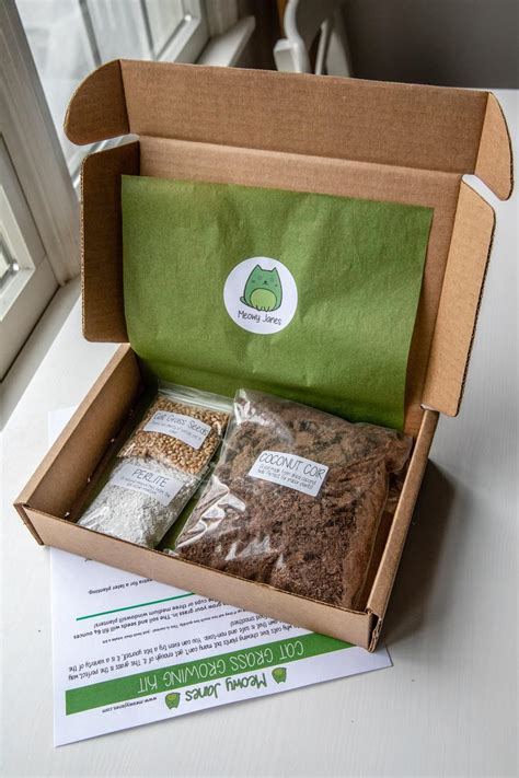 Cat Grass Growing Kit Pampered Paw Ts
