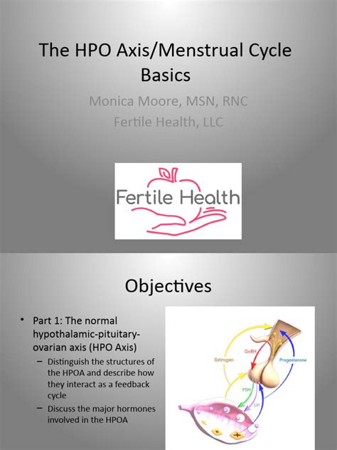 Hpo Axis 2019 Download Free Pdf Menstrual Cycle Luteinizing Hormone