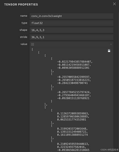 Netron Csdn