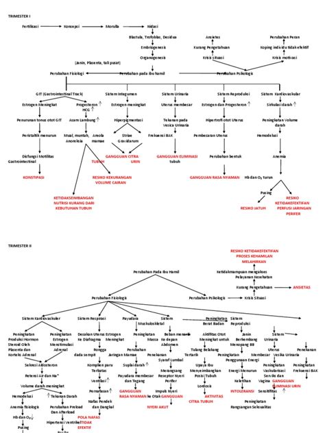 Woc Trimester Kehamilan Pdf