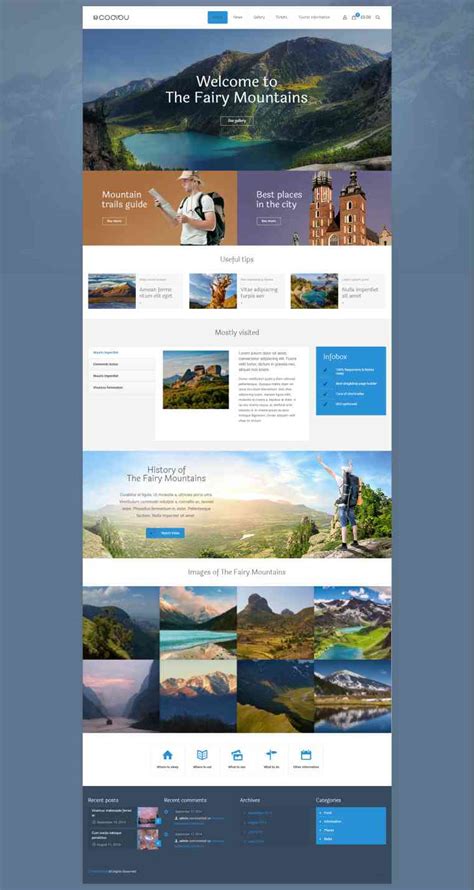 Codibu One Stop Website Solution