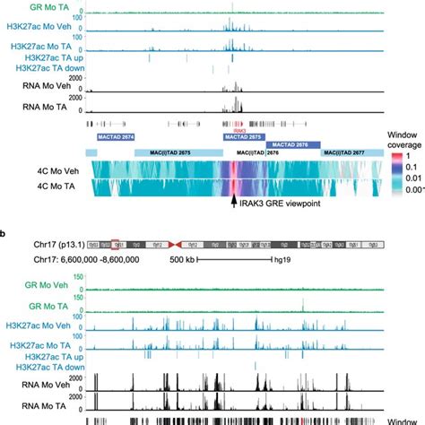 Circularised Chromosome Conformation Capture Using Gre Viewpoints A Download Scientific