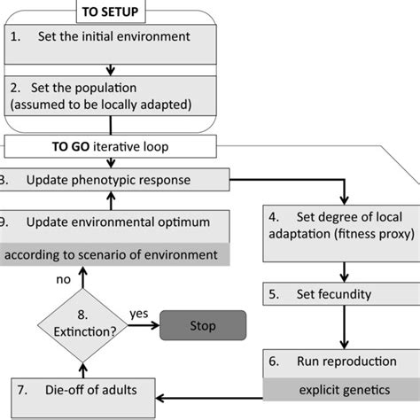 Flowchart Diagram Of The Sequence Of Model Operations Download