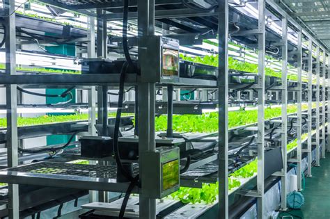 Smart Fields Rolnictwo Precyzyjne Precision Agriculture AgriTech