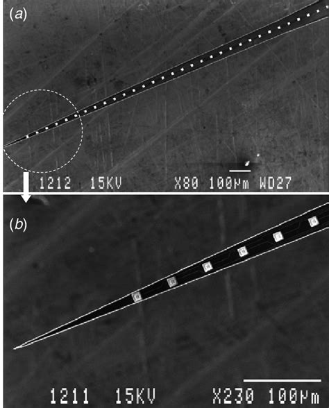 Scanning Electron Micrograph Of A A Silicon Probe With 1 Shaft × 32