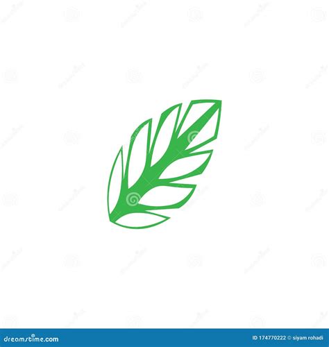 Logotipos Da Ecologia Das Folhas Verdes Ilustração Stock Ilustração