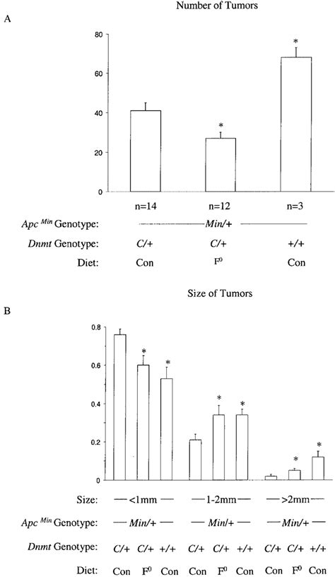 Effect Of Dnmt1 Deficiency With And Without Folate Deficiency On Tumor