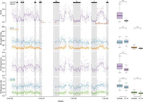 Patterns Of Incomplete Lineage Sorting Along The X Chromosome Graphs