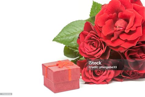 빨간 장미 꽃다발과 작은 결혼 약혼 반지 상자는 복사 공간 제안 개념이 있는 하얀 공간에 있다 0명에 대한 스톡 사진 및 기타 이미지 Istock