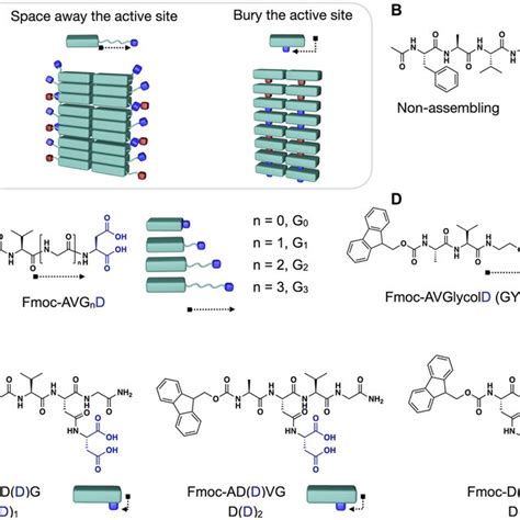 Molecular Design Strategies To Control Reciprocal Coupling And The