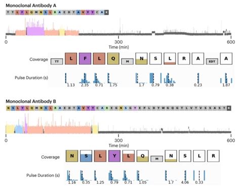 Antibody Sequencing And Characterization Quantum Si