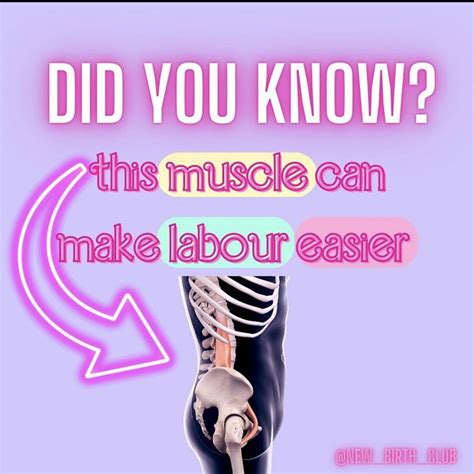 Psoas Muscle The Key To An Easy Birth — New Birth Club