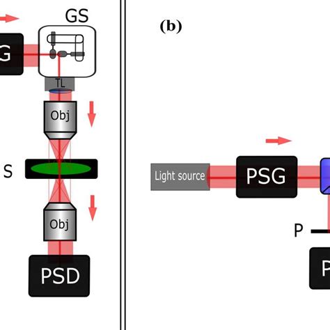 Pdf Review On Complete Mueller Matrix Optical Scanning Microscopy Imaging