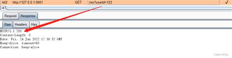 Websocket通信协议基础原理与安全威胁sec Websocket Protocol Csdn博客