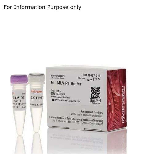 Thermo Fisher Superscript Iii Reverse Transcriptase At ₹ 40000piece