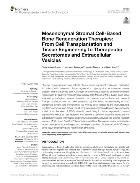 Pdf Mesenchymal Stromal Cell Based Bone Regeneration Therapies From