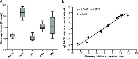 Qrt Pcr Of Five Candidate Reference Genes A And 15 Randomly Chosen
