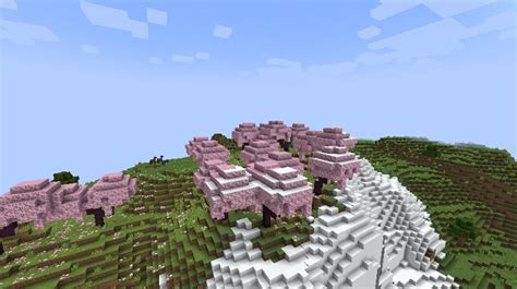 12 Best Cherry Grove Seeds In Minecraft 2023 Beebom