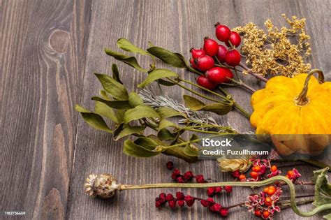 할로윈 개념 배경입니다 마녀 중산모 겨우살이 엘더베리 마른 허브 꽃 신선한 열매 박격포와 배봉 씨앗 오래된 나무 보드 0명에 대한 스톡 사진 및 기타 이미지 Istock
