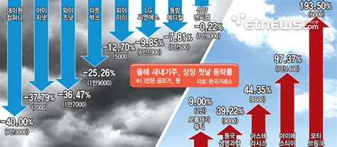 옥석가리기 본격화된 Ipo시장올해 새내기株 13곳 중 8곳 하락