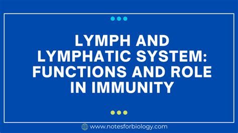 Lymph And Lymphatic System Functions And Role In Immunity