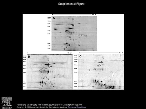 Barbara Ferreira Da Silva M Sc Ppt Download