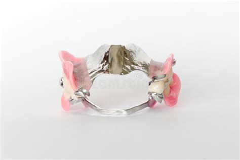 Set Of Partial Removable Dentures Stock Image Image Of Dentures Artificial 157296403 Set Of Partial Removable Dentures Stock Image Image Of Dentures Artificial 157296403