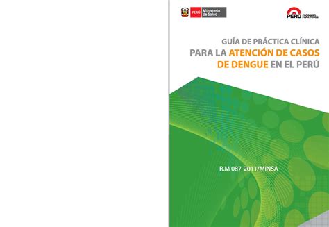Gpc Dengue Actualización Guía De Práctica Clínica Para La Atención