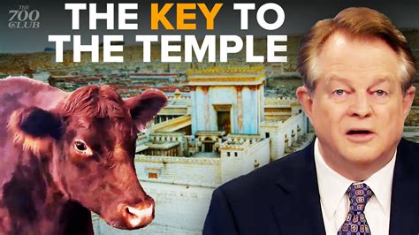 Why Israels 5 Red Heifers Are So Important To End Times Prophecy Youtube