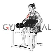 Dumbbell Single Arm Preacher Curl Female