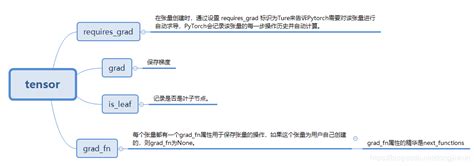 Pytorch基础（二） 自动求导autogradautograd规程 Csdn博客