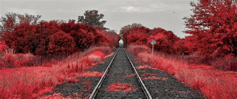 Coding Styles Imperative Declarative And Dsl🤯 Dev Community