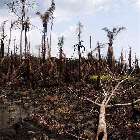 Uk Supreme Court Rules That Polluted Nigerian Communities Can Sue