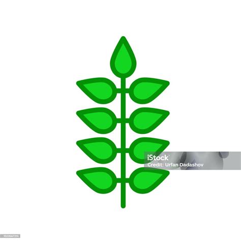 螺母葉圖示向量符號和符號隔離在白色背景 螺母葉徽標概念向量圖形及更多剪裁圖圖片 剪裁圖 卡通 商標 Istock