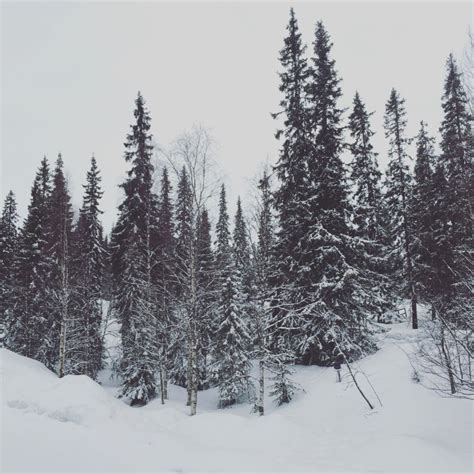 Mikko Sallinen Posted On Linkedin