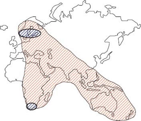 Orbiviruses Basicmedical Key