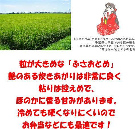 「ふさおとめ」とは？ 特徴からおすすめを紹介 千葉米 お米ふぁん